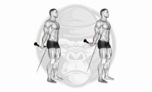 The Best Forearm Exercises Updated Jacked Gorilla