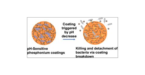 Ph Responsive Antibacterial Surfaces Based On Cross Linked Phosphonium Polymers Acs Applied