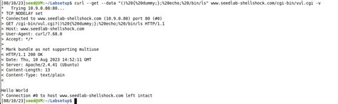 shellshock 1uk4d1k3 a blog to document my cybersecurity journey