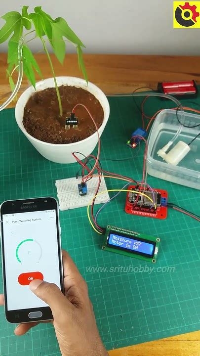 Plant Watering System With Esp32 Board Esp32 Projects Srituhobby