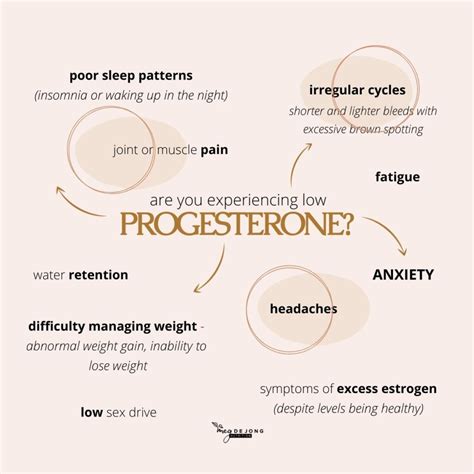 All About Progesterone Your Soothing Hormone Meg De Jong Nutrition