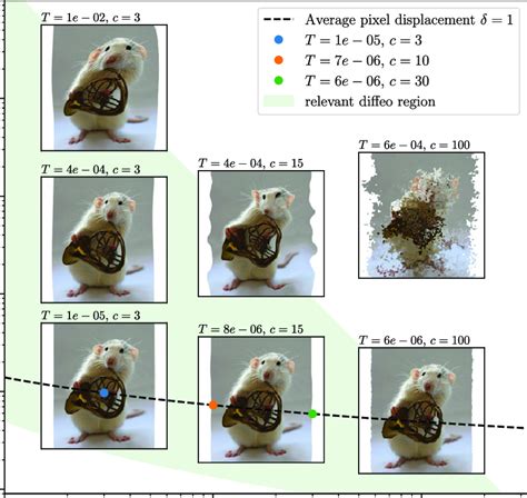 Samples Of Max Entropy Diffeomorphisms For Different Temperatures T And