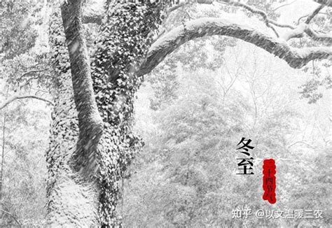 老人说今年冬至不一般，“冬至在月头，春节不穿棉”，春节冷吗？ 知乎