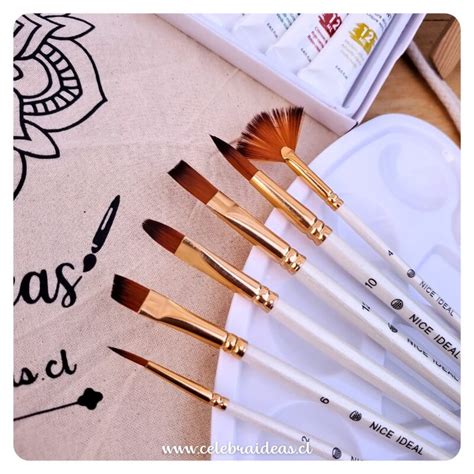 Set De Pinceles Mixtos Artísticos 6 Piezas Celebra Ideas