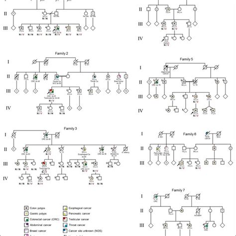 Clinical Features Of Carriers Of The Bmpr1a Deletion Download