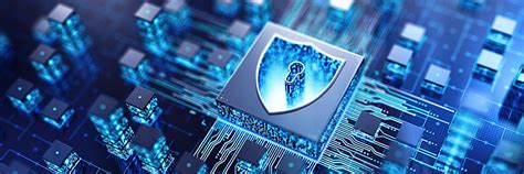 Automated Vulnerability Management