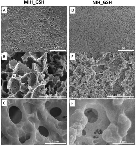 Sem Analysis Of Pores And Morphological Structure Of Mihgsh And Download Scientific Diagram