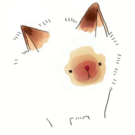 个人学习笔记—learnopengl（高级opengl） 知乎