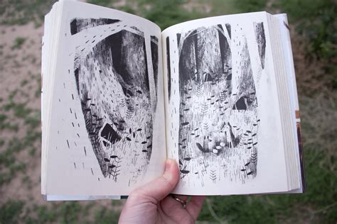 Pax Book Review · Book Nerd Mommy