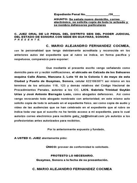 C Mario Alejandro Fernandez Cocmea P R E S E N T E Pdf Gobierno Justicia