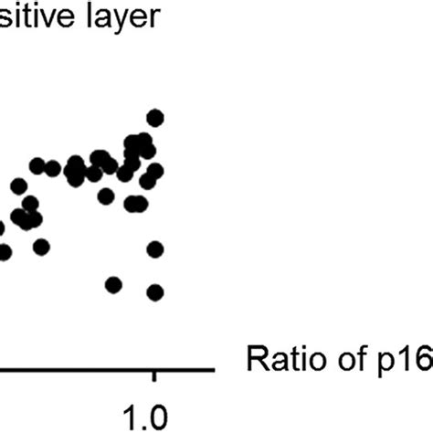 Comparison Of P53 Binding Protein 1 53bp1 And P16ink4a Expression