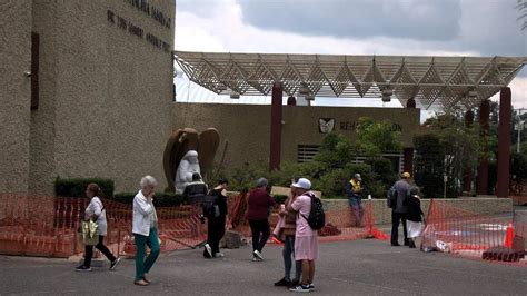¿qué Es El Meningococo Y Cómo Se Contrae El Sol De Morelia
