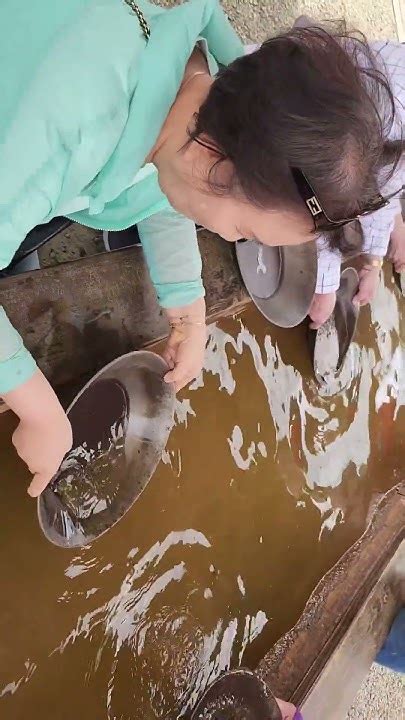 2023년 알라스카 사금채취 체험 골드브이로그 탐사 성희네브이로그 골드브이로그 만년설브이로그 Shorts Youtube