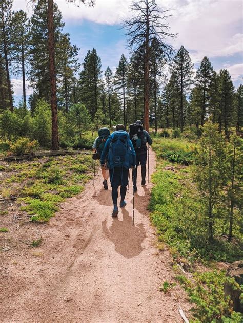 Section Hiking The Colorado Trail Sections 3 5 Colorado Trail Thru