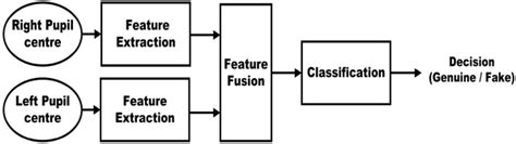 Proposed Liveness Detection Scheme Using Feature Fusion Download