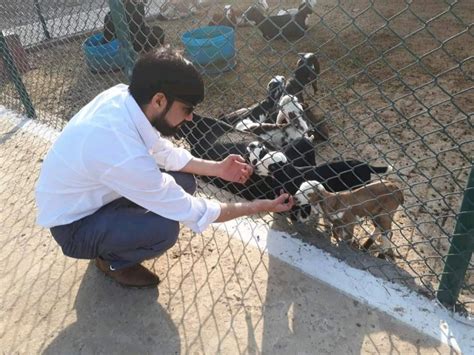 Farrukh Mehmood On Linkedin Mercy Kindness Hadith Compassion