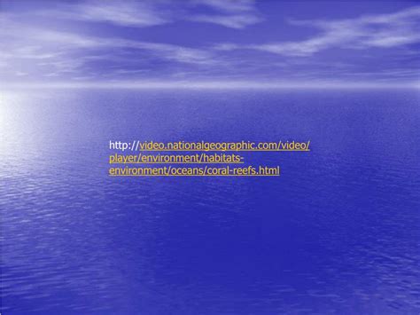 Ppt Coral Reefs Powerpoint Presentation Free Download Id2559583