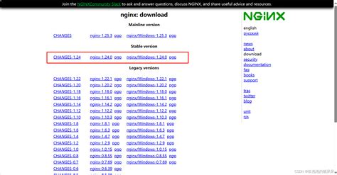 用nginx搭建自己的静态网站 nginx代理静态页面 csdn博客