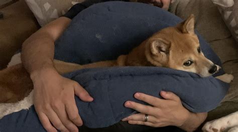 She Stayed Like This For Half An Hour Ranjodelco