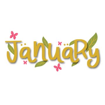 Hola Mes De Enero Texto Letras A Mano Con Flores Y Hojas PNG Dibujos
