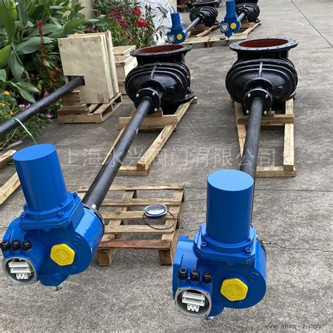 水兴阀门z945t 10 Dn500加长杆电动镶铜铸铁暗杆闸阀 加长杆长度可定制图片高清大图 谷瀑goepecom