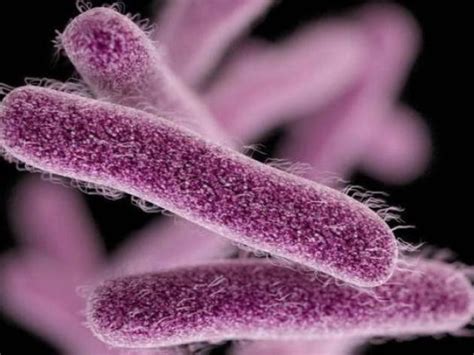 Whole Genome Sequencing May Help Officials Get A Handle On Disease