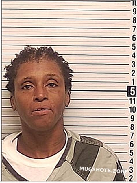 Barber Jessica Carrie 11152024 Bay County Mugshots Zone