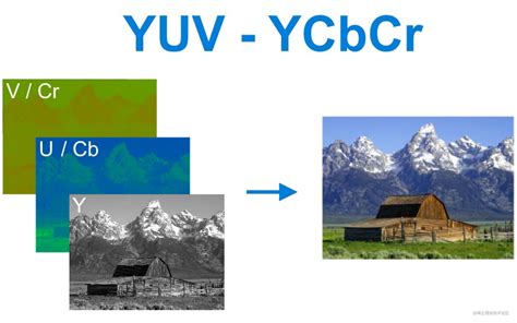 yuv 420 ycbcr 422 rgb 444 and chroma subsampling programmer sought