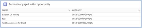 How To Show Name Of Custom Object In Lightning Component Datatable