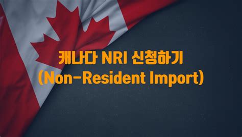 Nri Non Resident Importer 프로그램