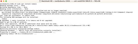 How To Install Node Js On Ubuntu 24 04 Devtutorial