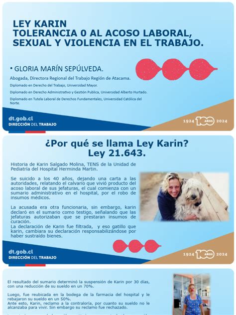 Ley Karin Pdf Acoso Sexual Violencia