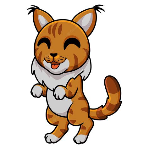 Premium Vector Cute Maine Coon Cat Cartoon
