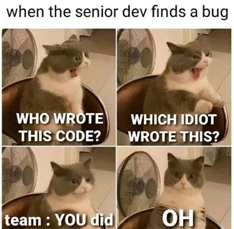 tom allen on linkedin seniordevlife codinghumor softwaredevelopment