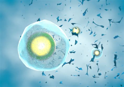 Single Cell Transcriptomics Computational Analysis And Data Normalisation