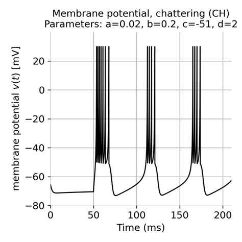 Izhikevich Model Fabrizio Musacchio