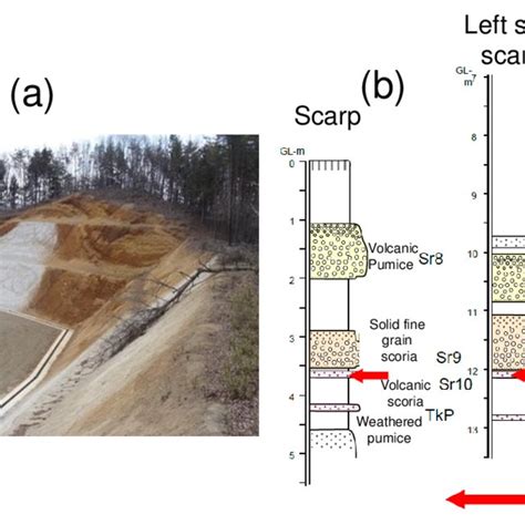 Schematic Figure For Dilative And Contractive Components Of Dilatancy