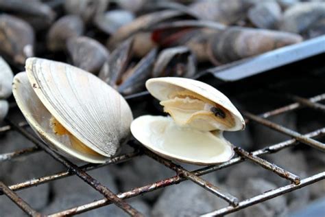 How Long To Cook Clams On Grill Foodvn Vietnamese Cuisine