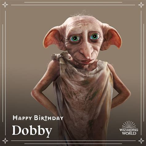 Wizarding World On Instagram “join Us And Raise A Sock To Wish Dobby A
