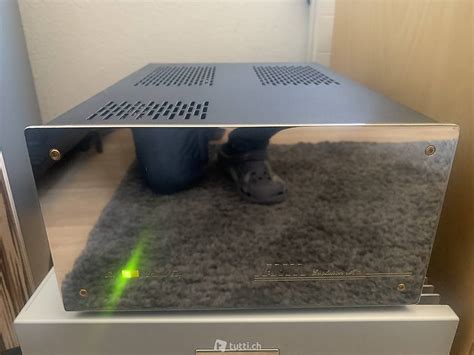 AVM Evolution M Mono Endverstärker im Kanton St Gallen tutti ch