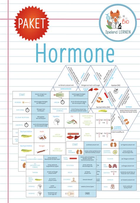 Hormone 5x Aktivitäten Und Spiele Unterrichtsmaterial Im Fach