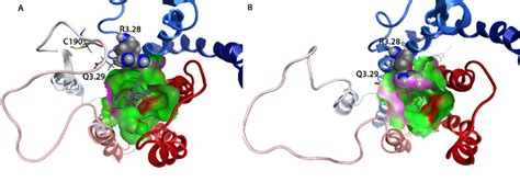 Comparison Of Ligand Binding Pockets From A Model Inconsistent With