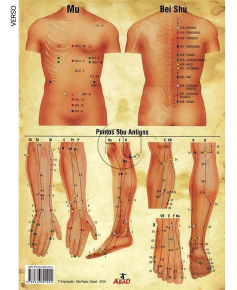 Mapa 5 Elementos Medicina Tradicional Chinesa Mtc A4 2 Un Mercado Livre