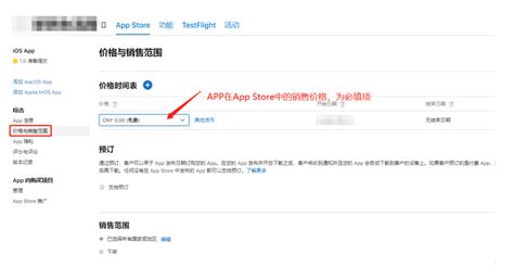 Ios 应用上架指南：资料填写及提交审核苹果上架版权怎么填 Csdn博客