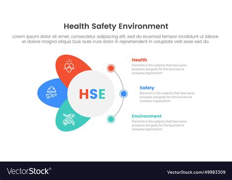 Hse Framework Infographic 3 Point Stage Template Vector Image
