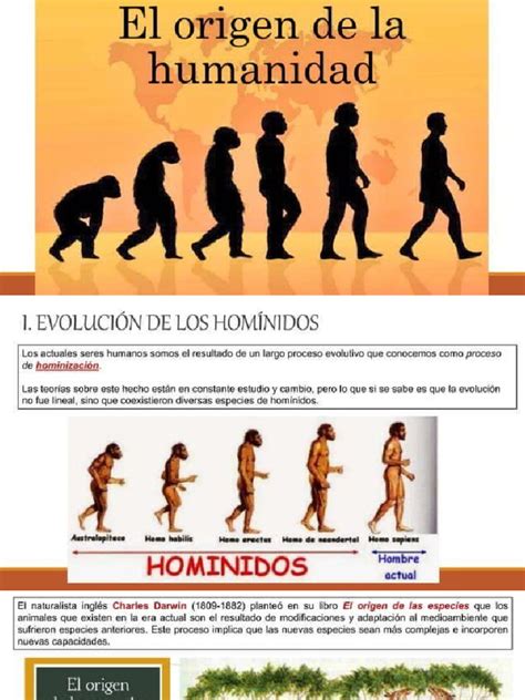 Terceros Bgu Evolucion De Los Hominidos Pdf Terceros Bgu Evolucion De Los Hominidos Pdf
