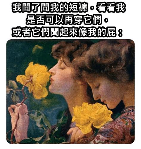 翻譯 沒味道就可以再穿 梗圖板 Dcard