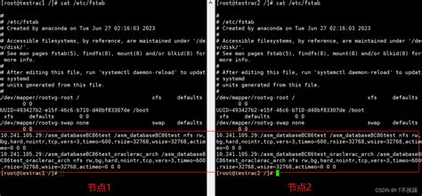 Oracle 19c 集群rac安装（基于nfs共享存储）oracle 19c Rac安装 Csdn博客
