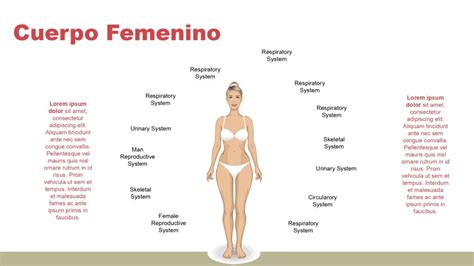 Cuerpo Humano Plantilla Powerpoint Temas Ppt Gratis