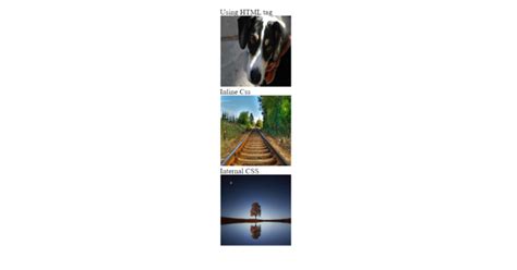 Html CSS Project CodeWithRandom
